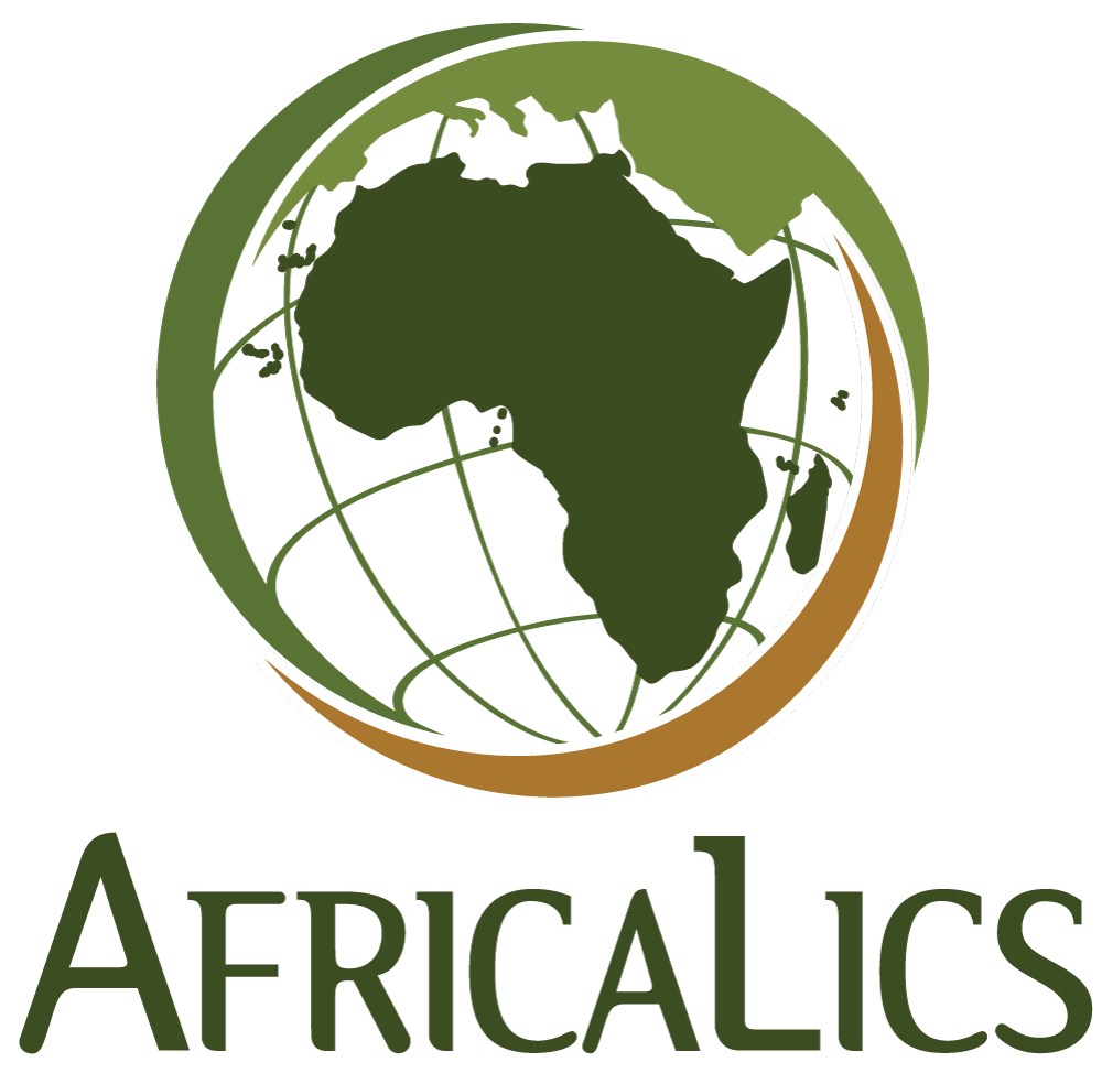 10th PhD Academy on Innovation and Competence Building Systems – AfricaLics